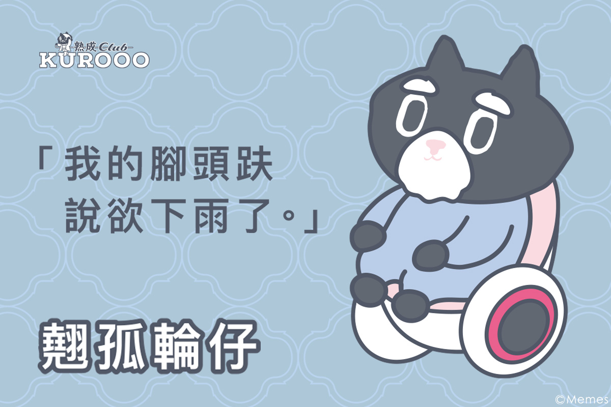 長輩喵出道！Kuroro特企「熟成俱樂部」在2023 第四屆 Anke Care國際照顧博覽會初見面！ | NEWS 新聞 | 宇宙喵 Kuroro 酷樂樂